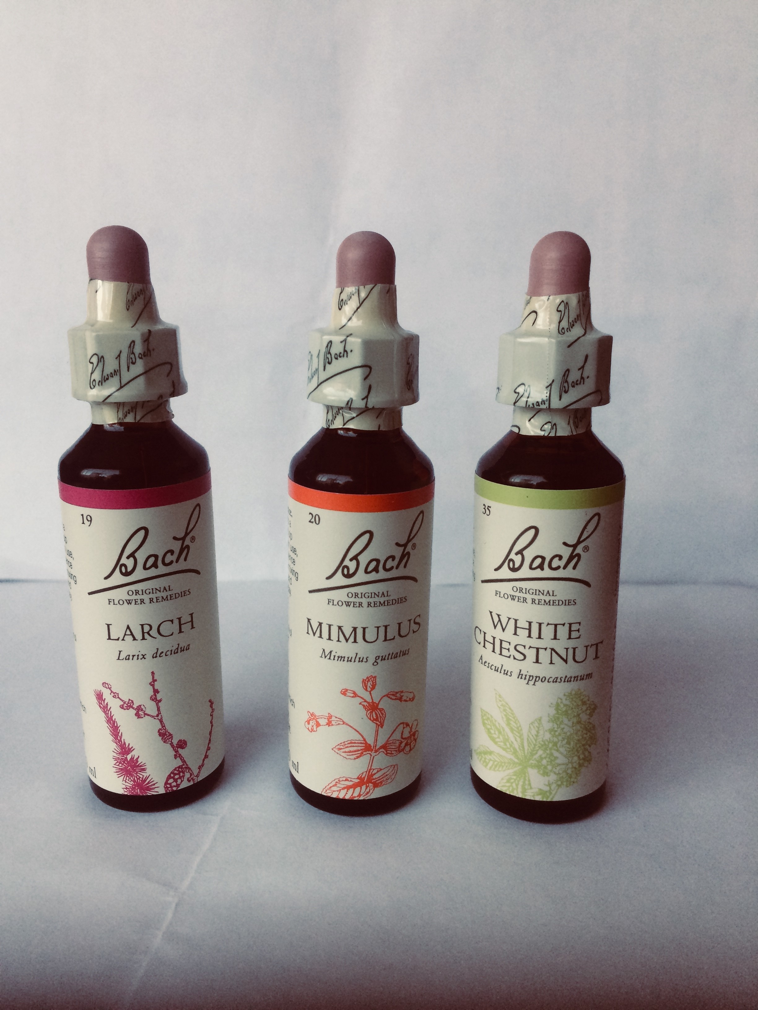 Bach flower remedies | And So She Thinks